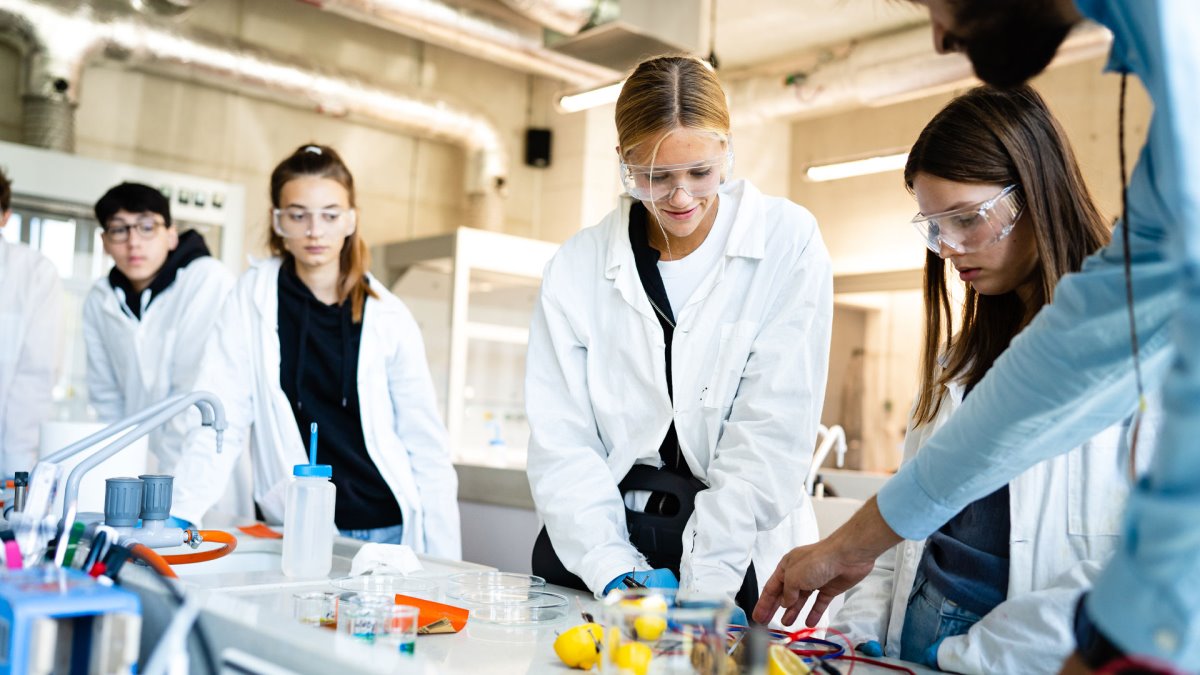 Akademeia Internship Scheme | Akademeia High School